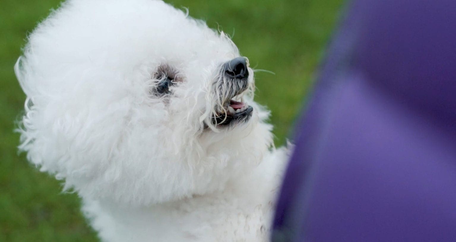 Ocryl: Product Films - Biscuit Bunker