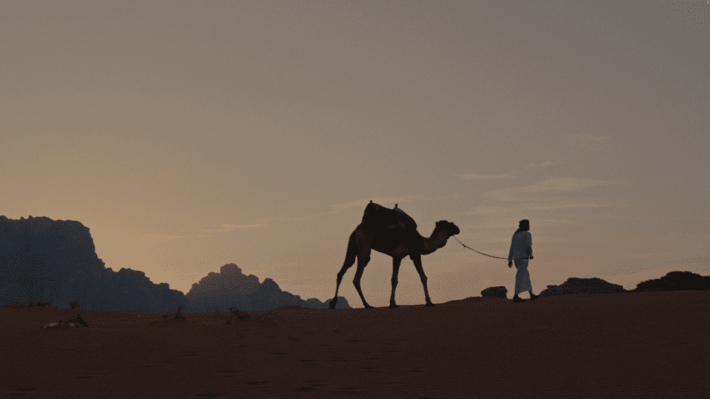 MAJI: Feature Documentary - Biscuit Bunker